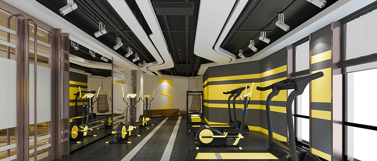 Gymnasium Equipment in India | Expert Consultation & Setup